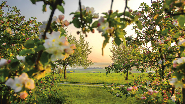 Tourist-Information Stockach | Bodensee Tourismus