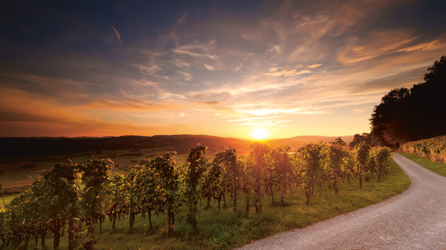 Tourist-Information Stockach | Bodensee Tourismus