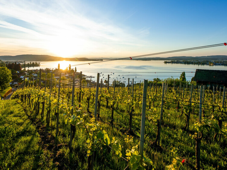 Die Bodensee Card PLUS | Bodensee